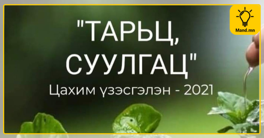 “Тарьц суулгац 2021” цахим үзэсгэлэн нээгдлээ Mand Mn